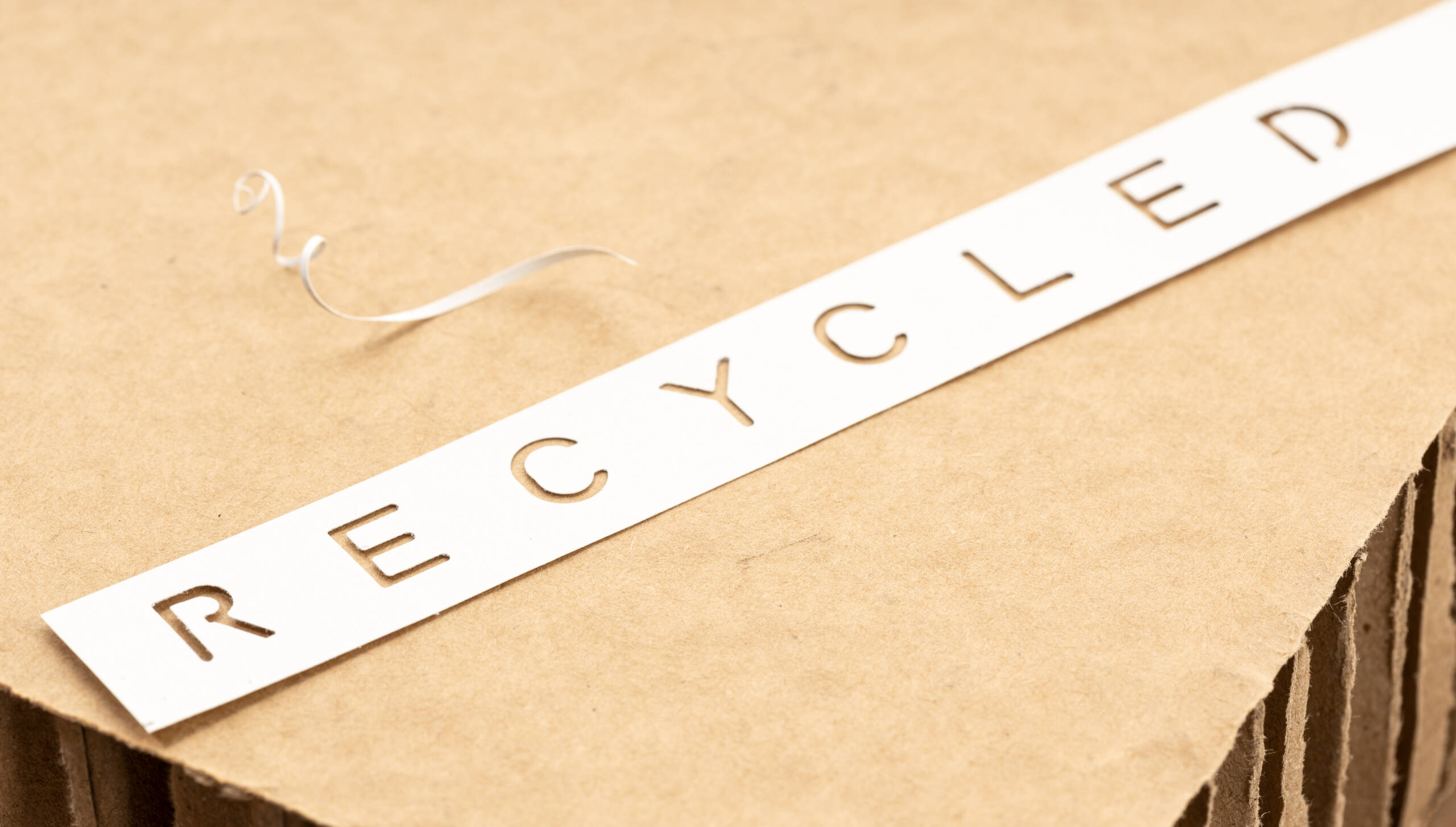 ¿Cómo se recicla el cartón? - FATECSA